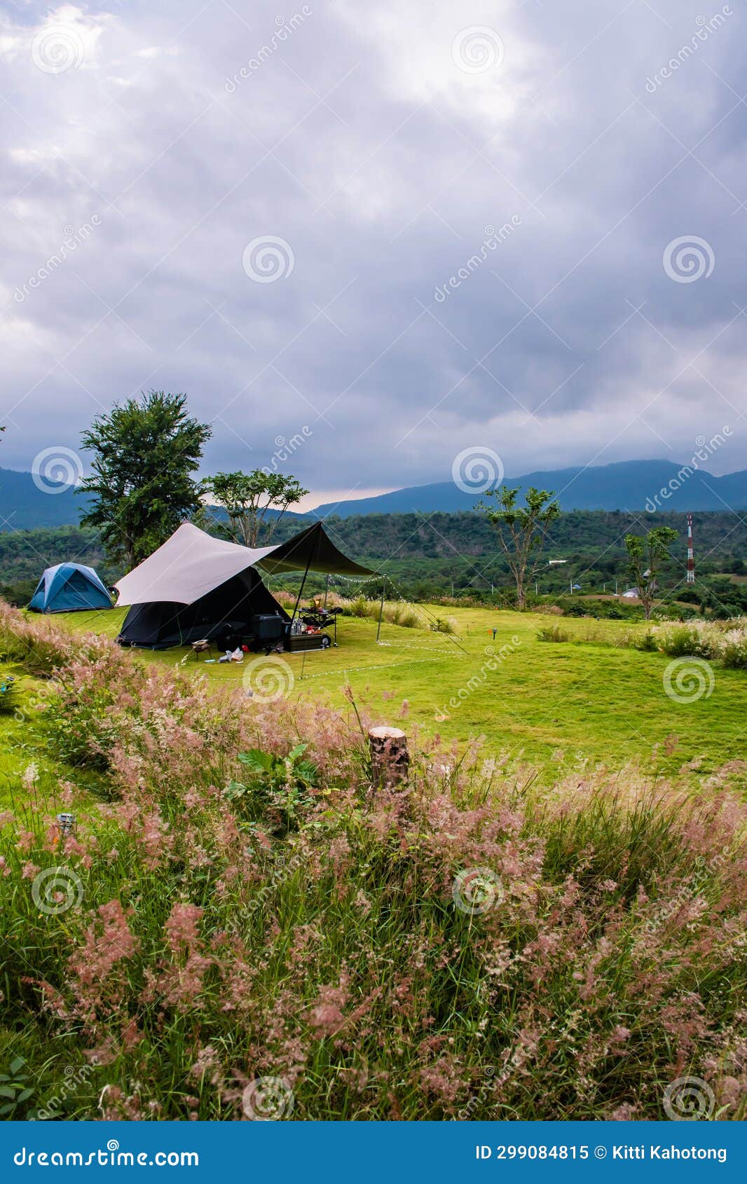 Tents Camping Area Natural Area with Green Grass Stock Image - Image of ...