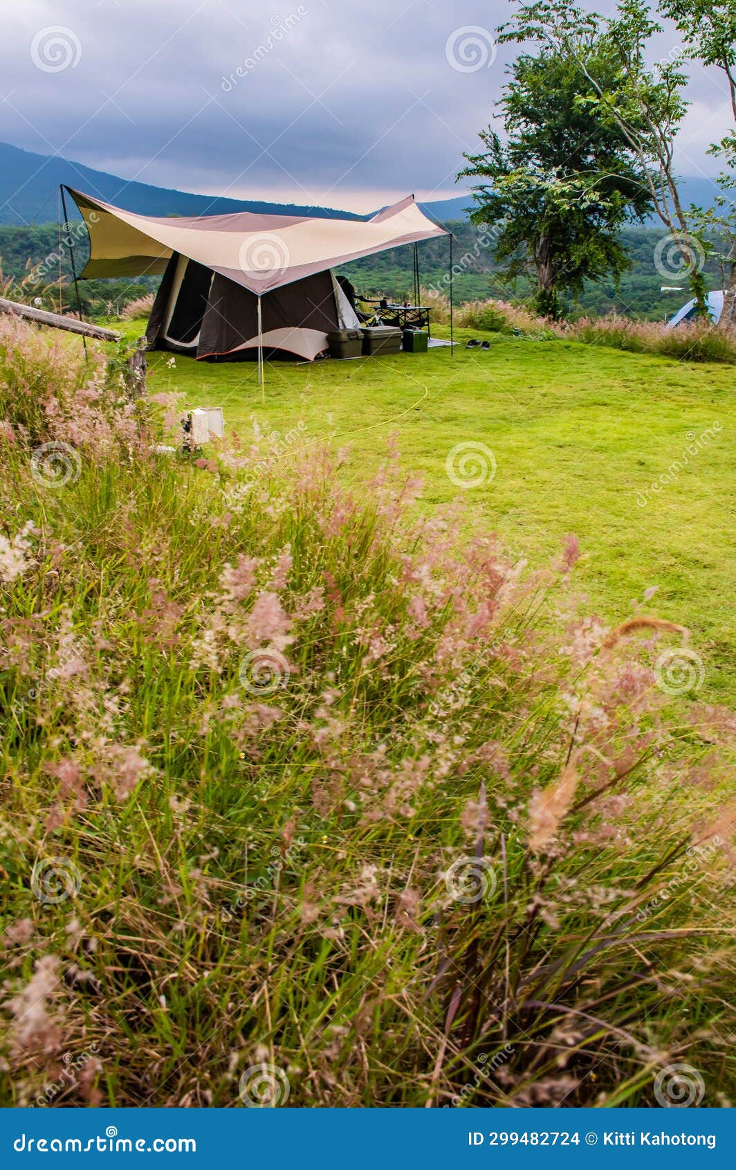 Tents Camping Area Natural Area with Green Grass Stock Photo - Image of ...