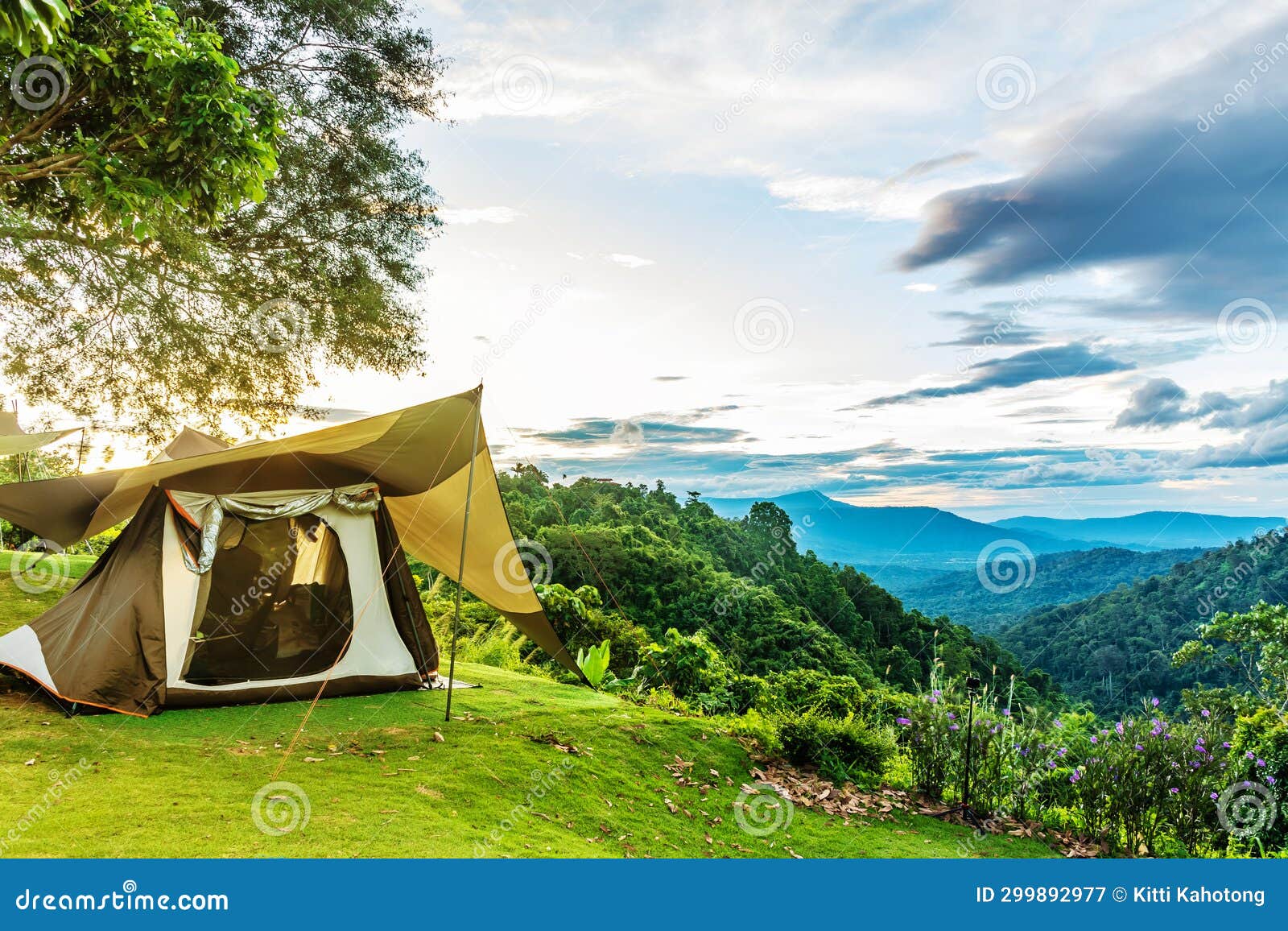 Tents Camping Area Natural Area with Green Grass Stock Image - Image of ...