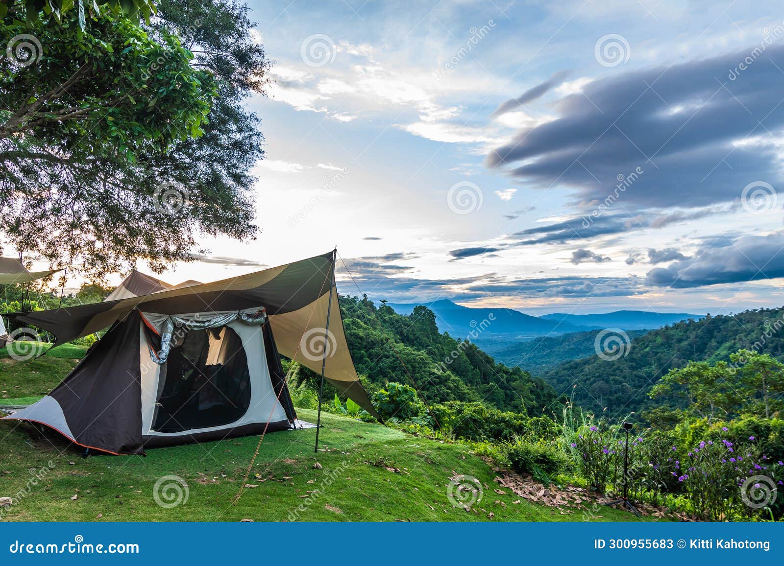 Tents Camping Area Natural Area with Green Grass Stock Image - Image of ...