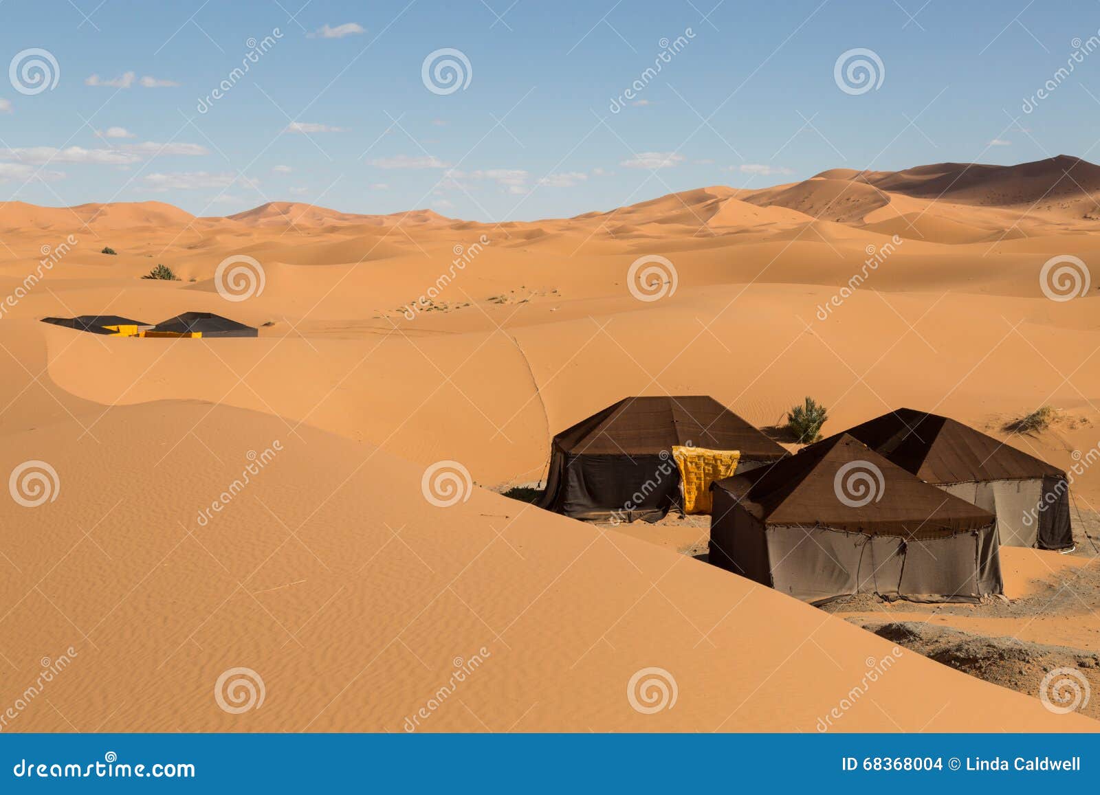 Tents in the desert stock photo. Image of travel, landscape - 68368004