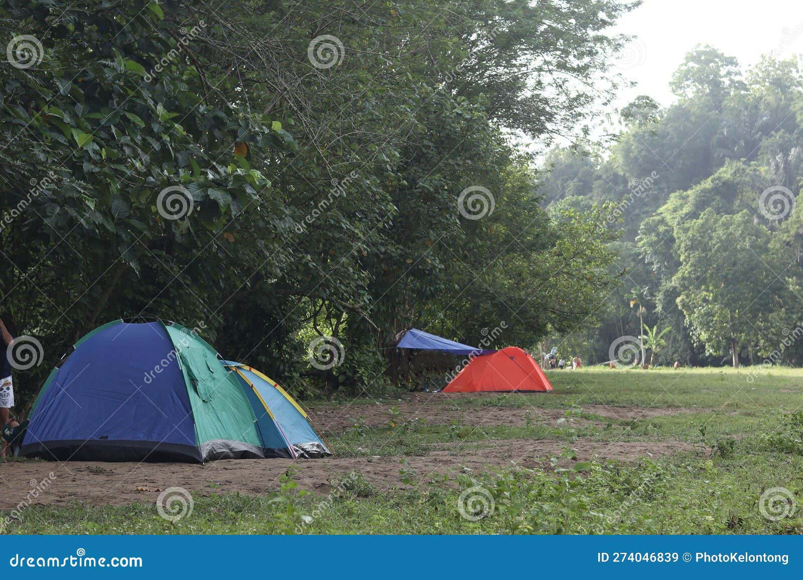 Tents in a Field with Trees in the Background Stock Image - Image of ...