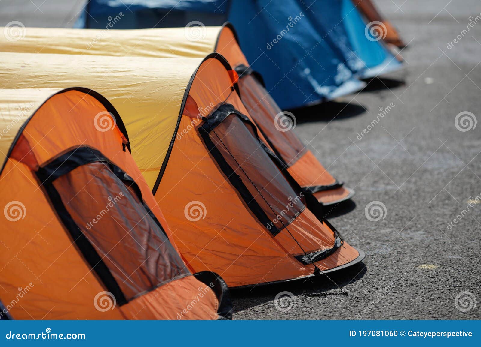 Tents on the Pavement during a Protest Stock Photo - Image of lifestyle ...