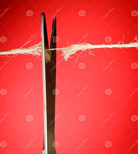 Tenuous hold stock image. Image of twine, fibers, scissors - 18320109