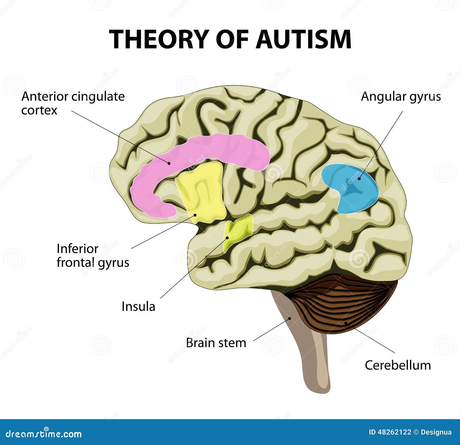 Teori av autism vektor illustrationer. Illustration av frontal - 48262122