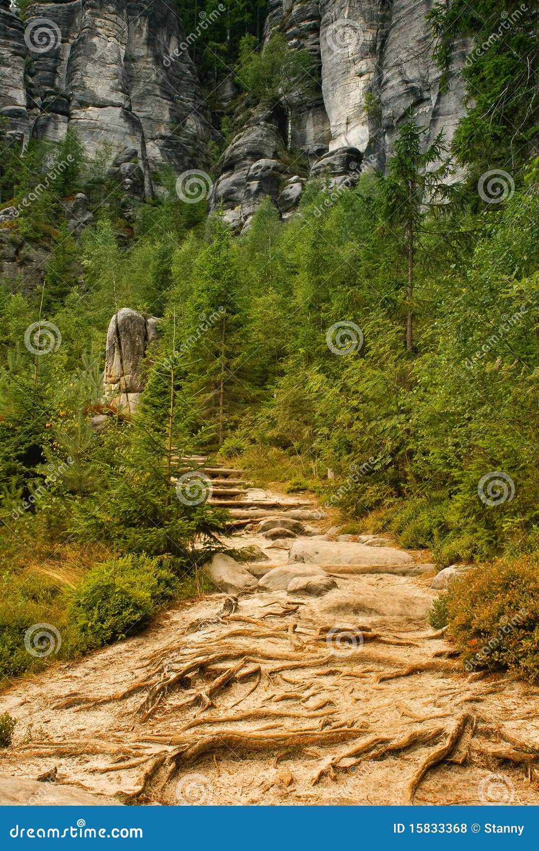 Teplice Rocks of Adrspach 2 Stock Photo - Image of wood, green: 15833368