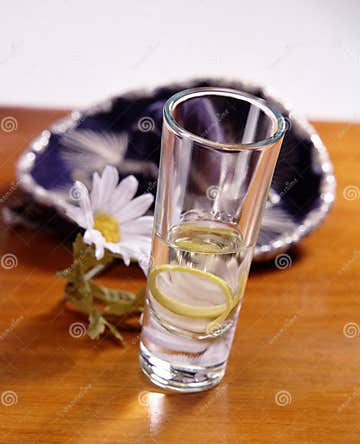 Tequila stock photo. Image of glass, dinner, celebration - 792538