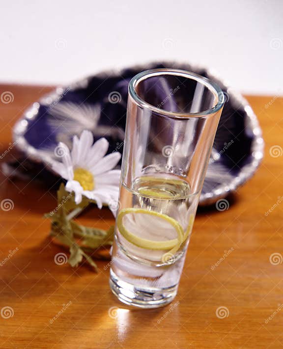 Tequila stock photo. Image of glass, dinner, celebration - 792538