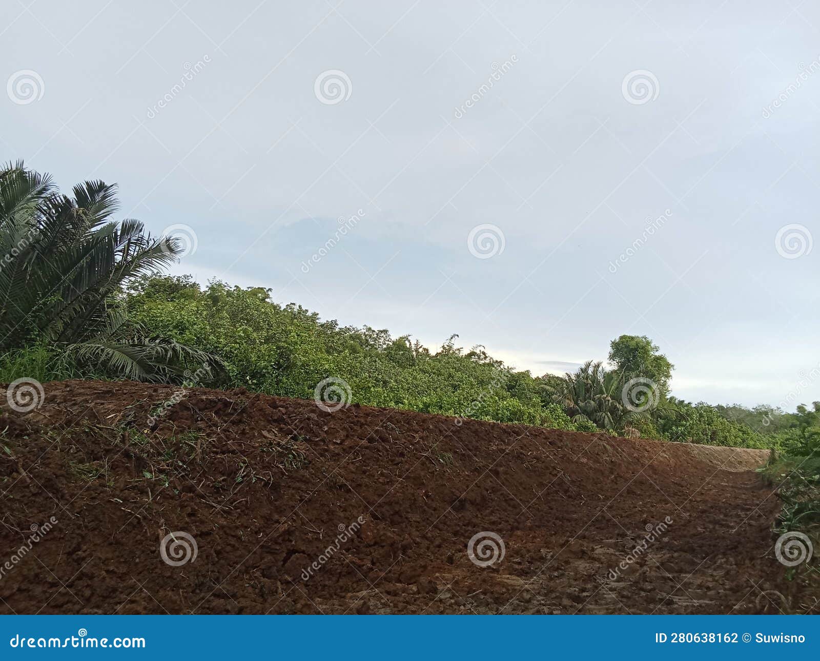 Teras stock photo. Image of flower, wall, hill, grass - 280638162