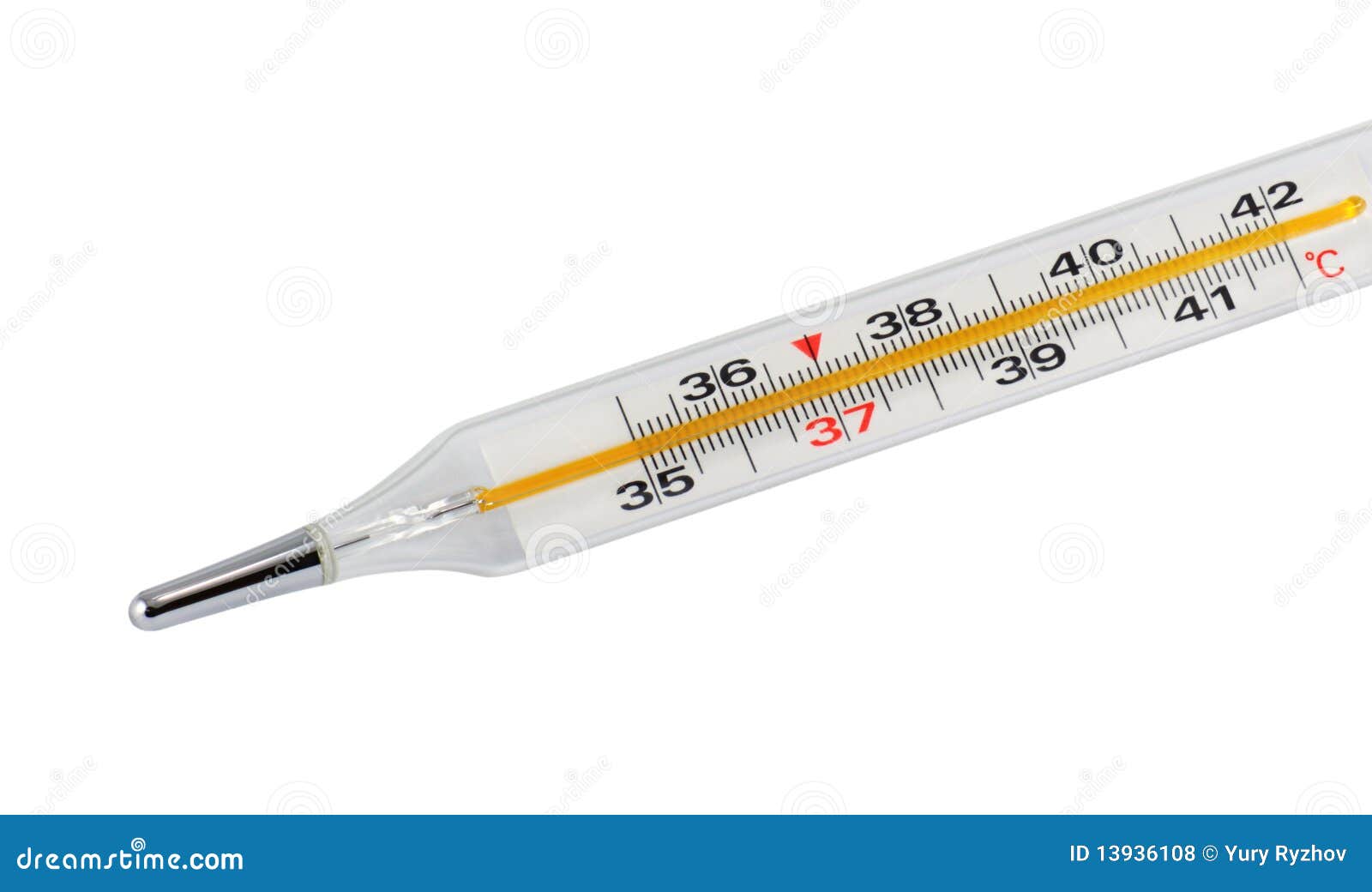 Termómetro Clínico Fotos de archivo libres de regalías - Imagen: 13936108