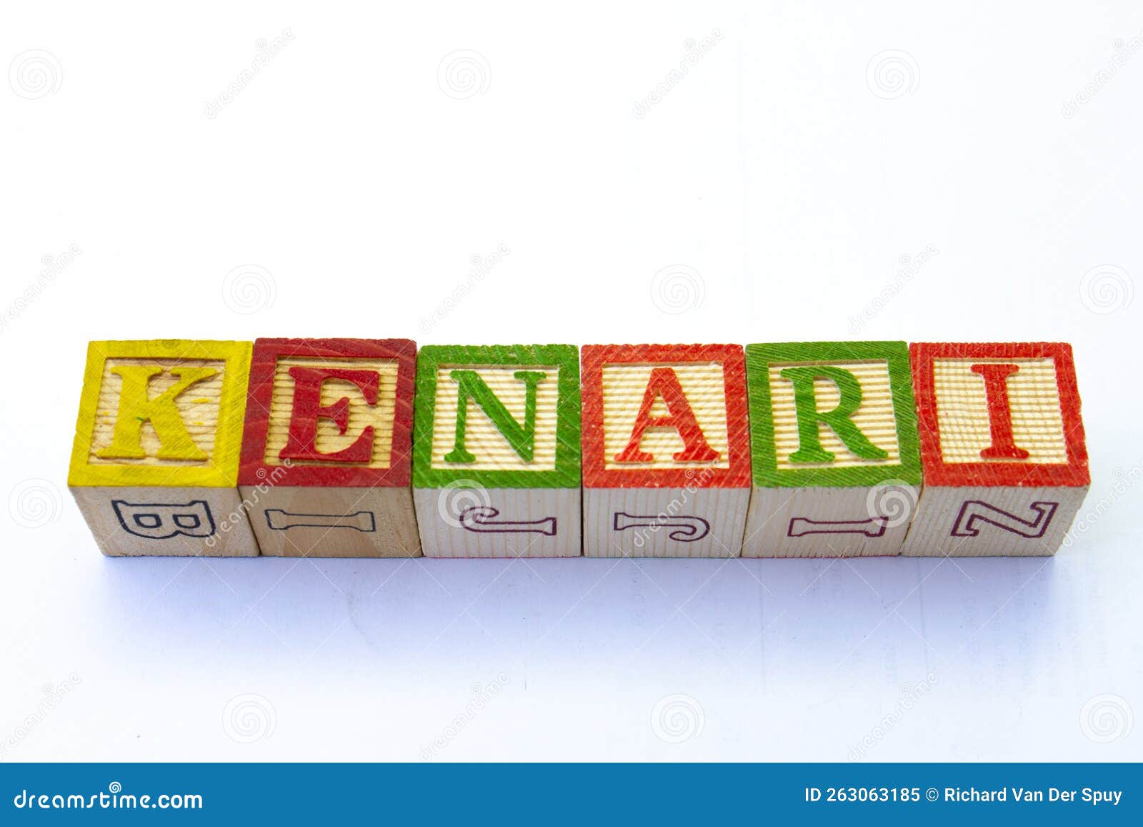 Kenari Stock Illustrations – 6 Kenari Stock Illustrations, Vectors ...