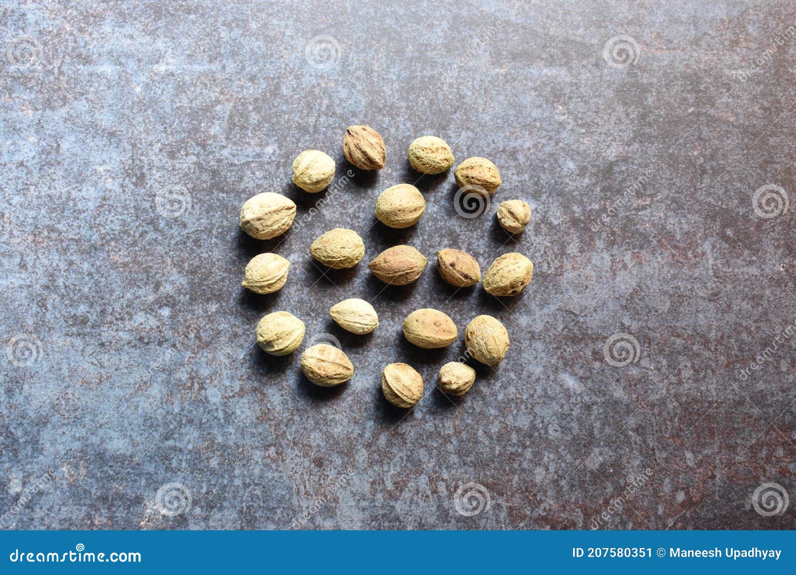 Baheda,Tropical Almond, Bibhitaki, Terminalia Bellirica, Bastard ...