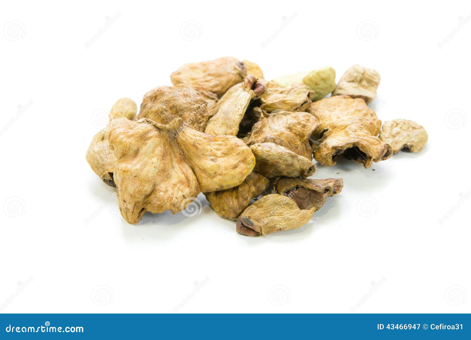 Terminalia Chebula Or Chebulic Myrobalans, Fruits Isolated On White ...