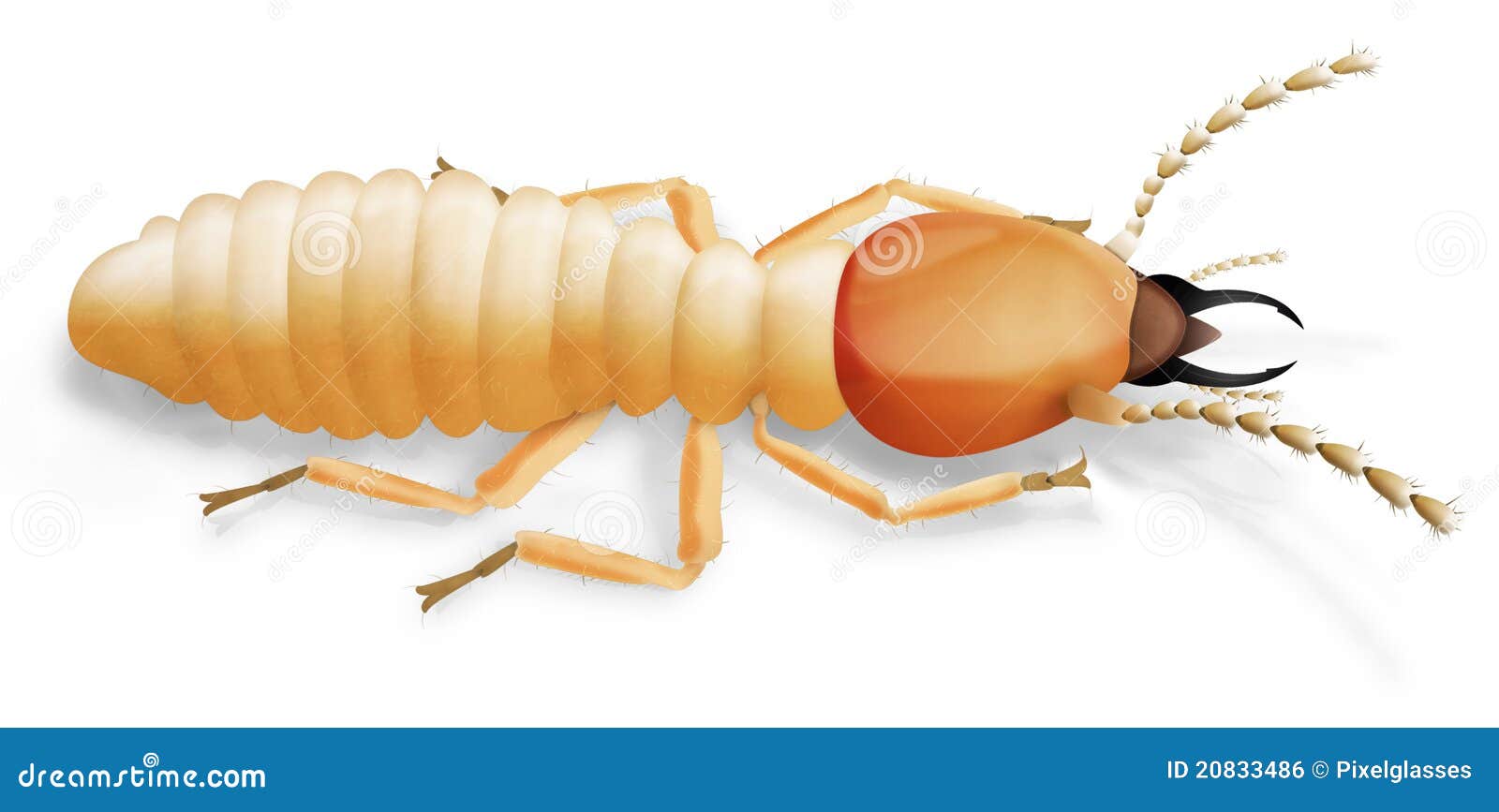 Termita ilustración del vector. Ilustración de termita - 20833486