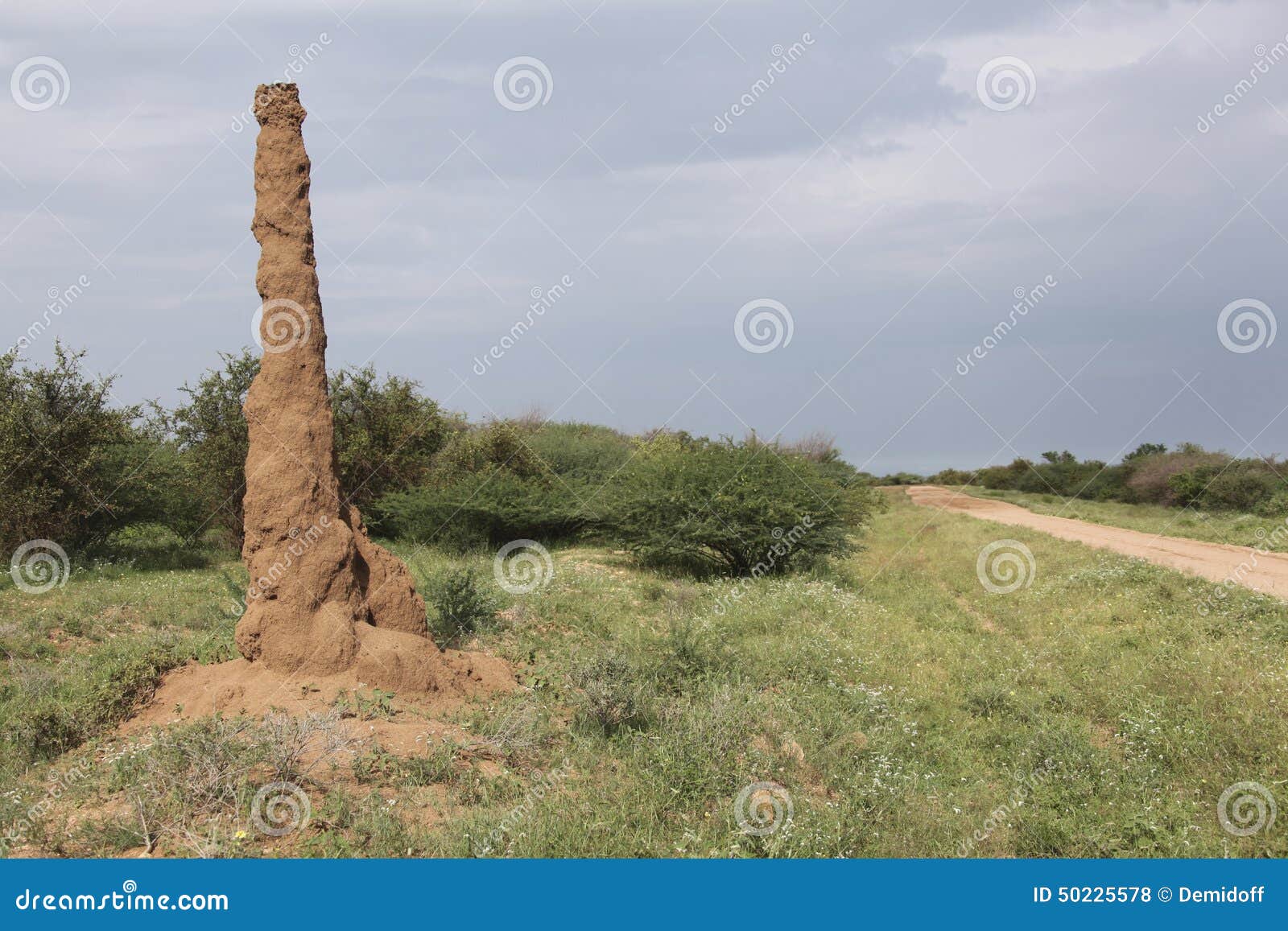 Termitary stock photo. Image of park, dirt, large, anthill - 50225578