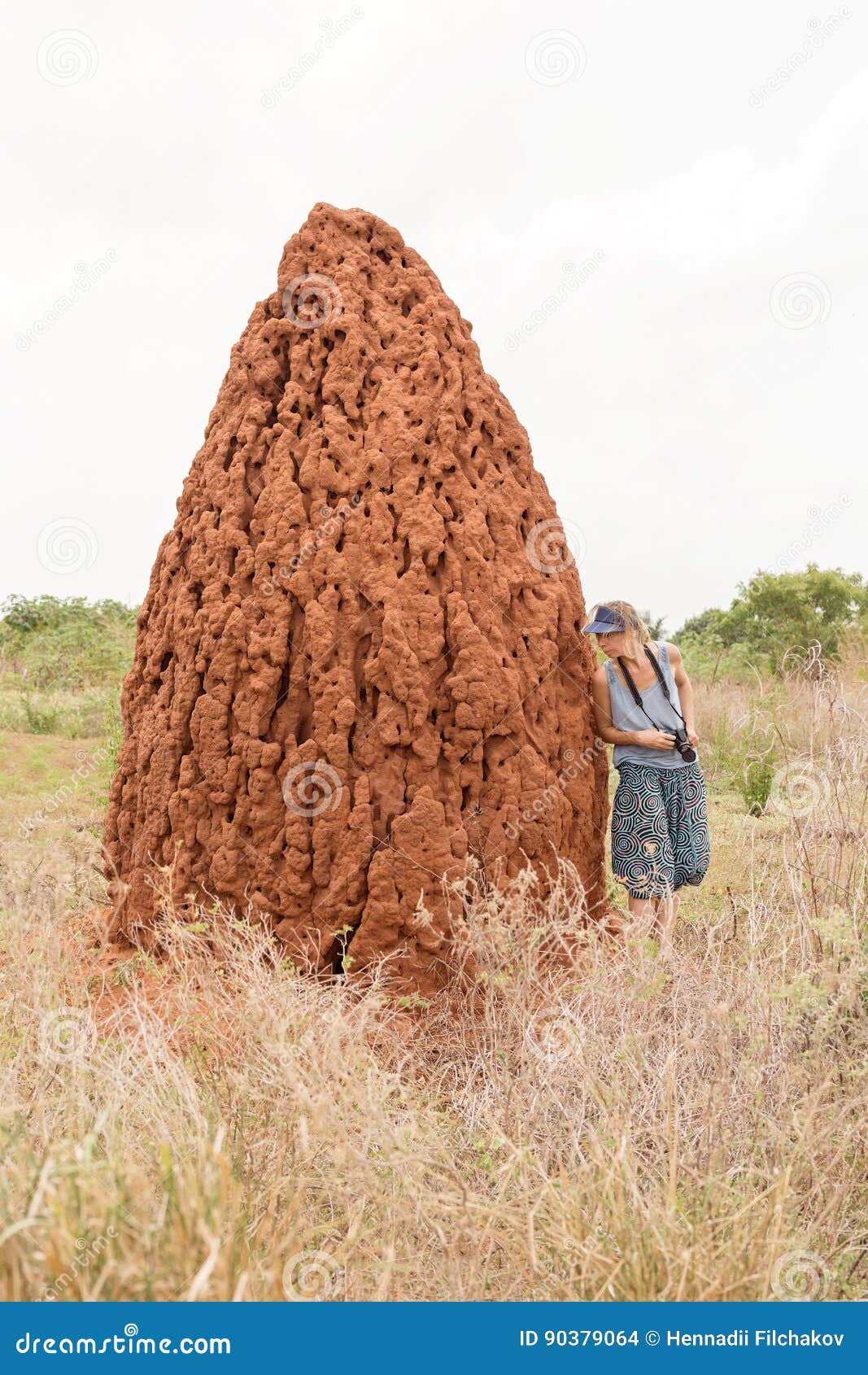 Termitary stock photo. Image of craft, outdoor, bush - 90379064