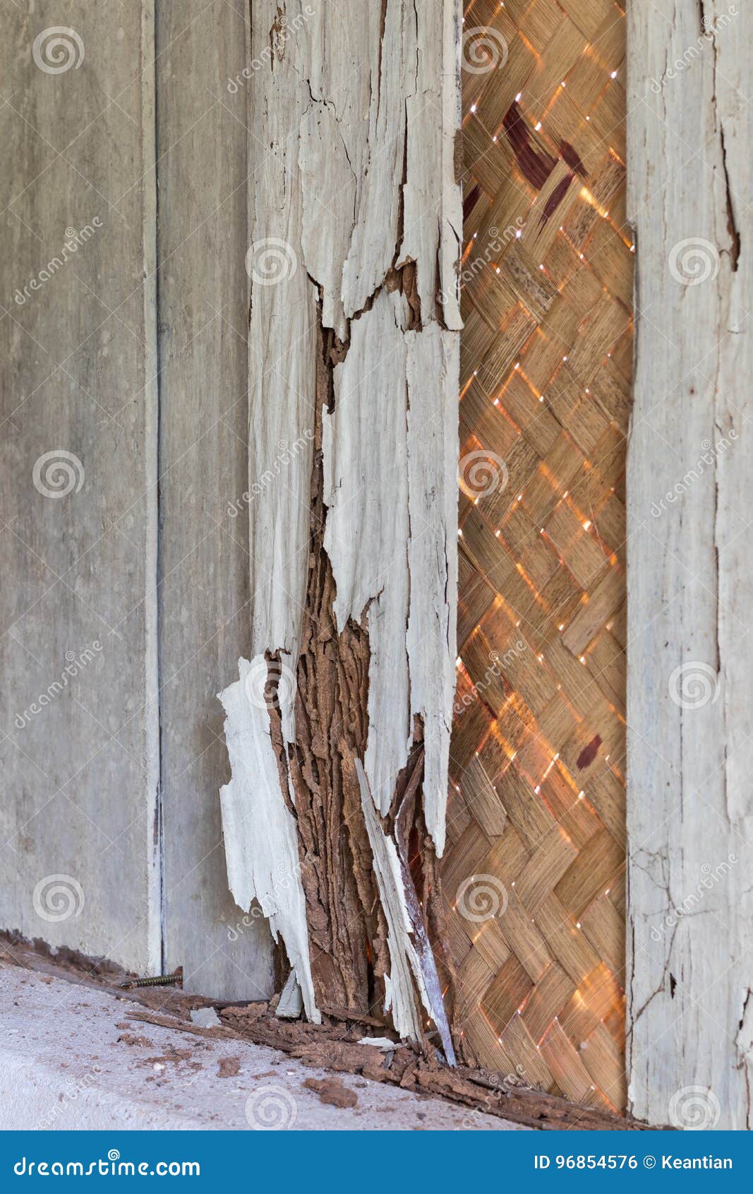 Termitas De Madera Viejas De La Pared Del Primer Foto de archivo ...