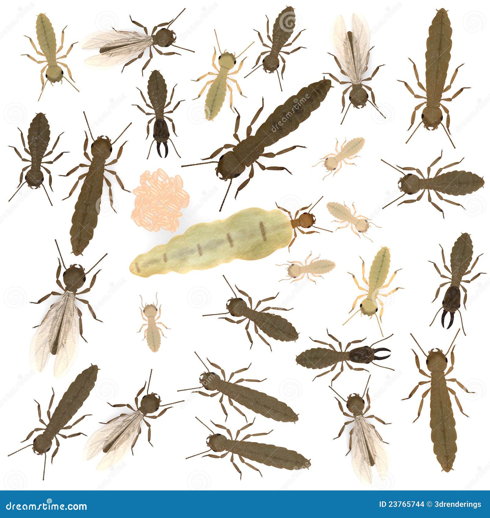 Termite Animals Stock Illustrations – 403 Termite Animals Stock ...