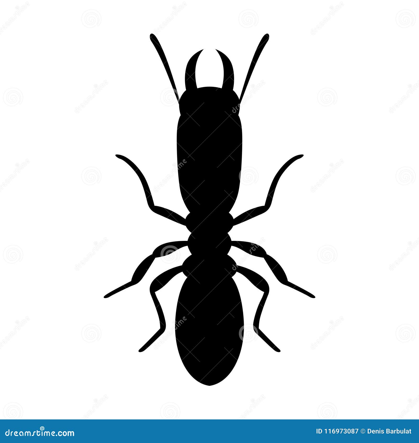 Termite stock vector. Illustration of vector, insect - 116973087