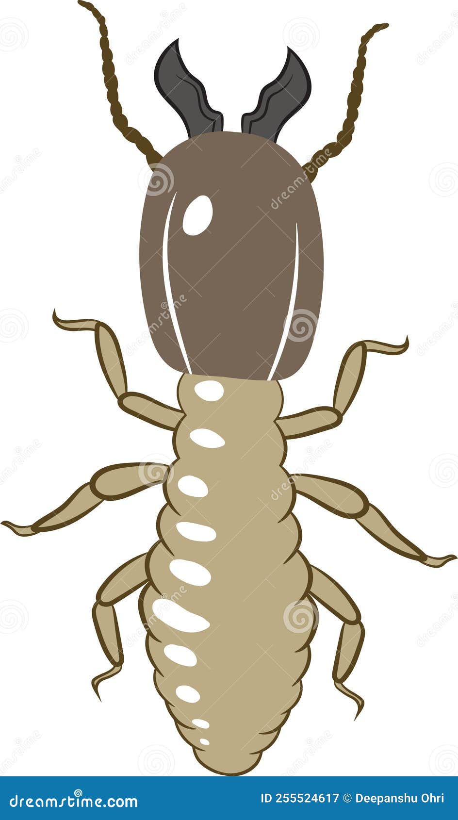 Termite 2d Vector Clipart. stock vector. Illustration of damage - 255524617