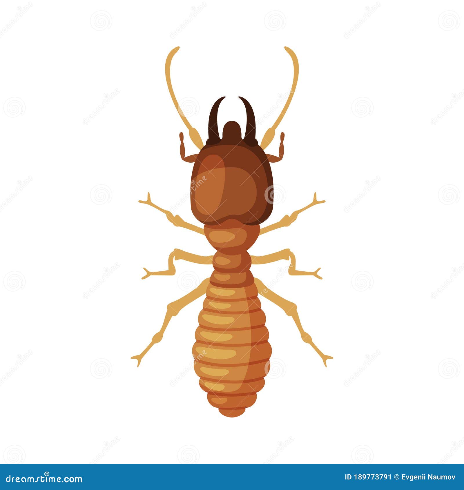 Termite Harmful Insect, Pest Control and Extermination Concept Vector ...