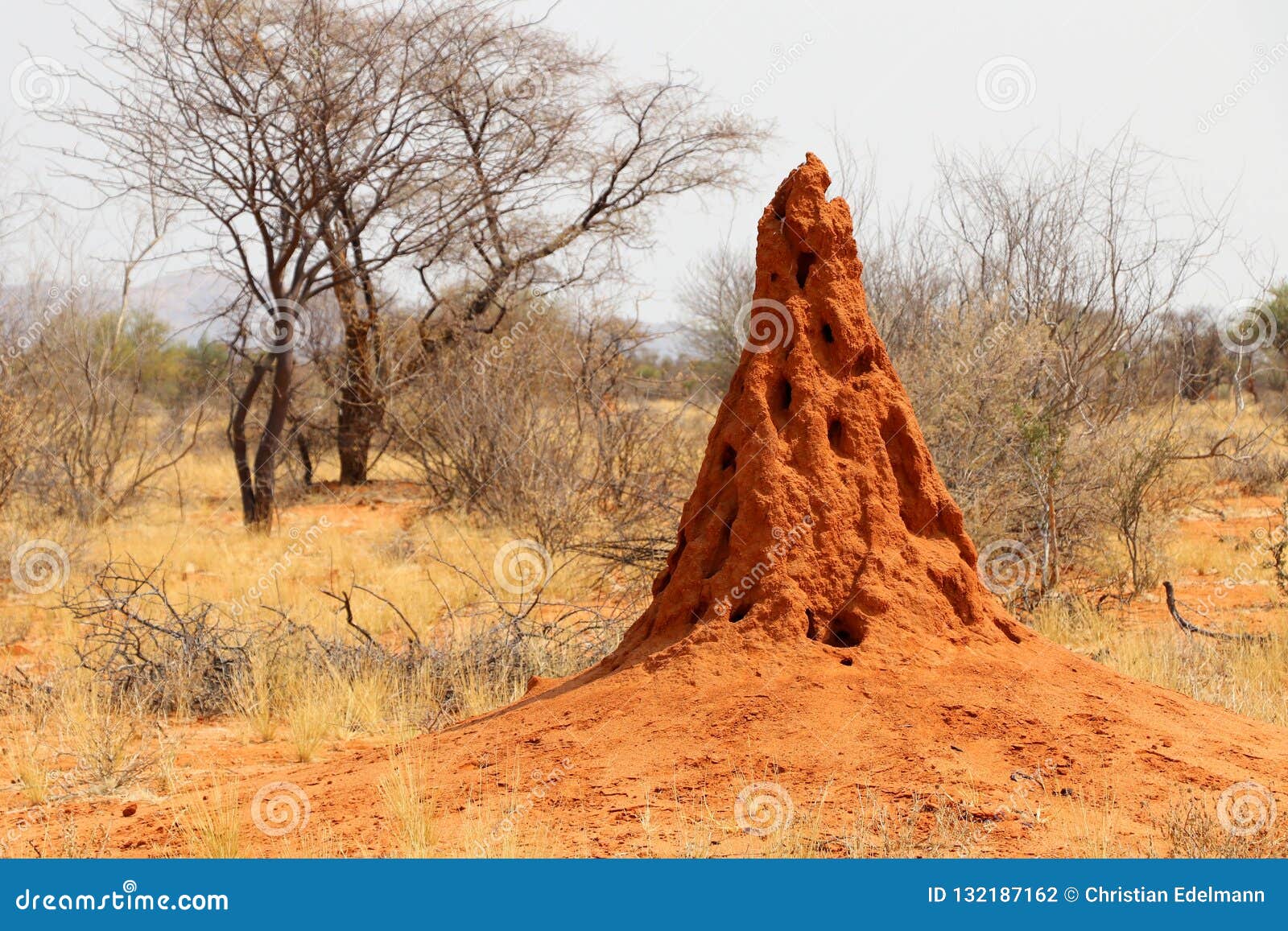 Termite Hill - Namibia Afrika Stock Photo - Image of tourism, afrika ...