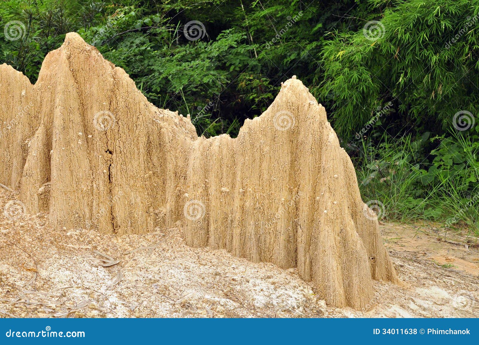 Termite hill stock photo. Image of hill, large, geology - 34011638