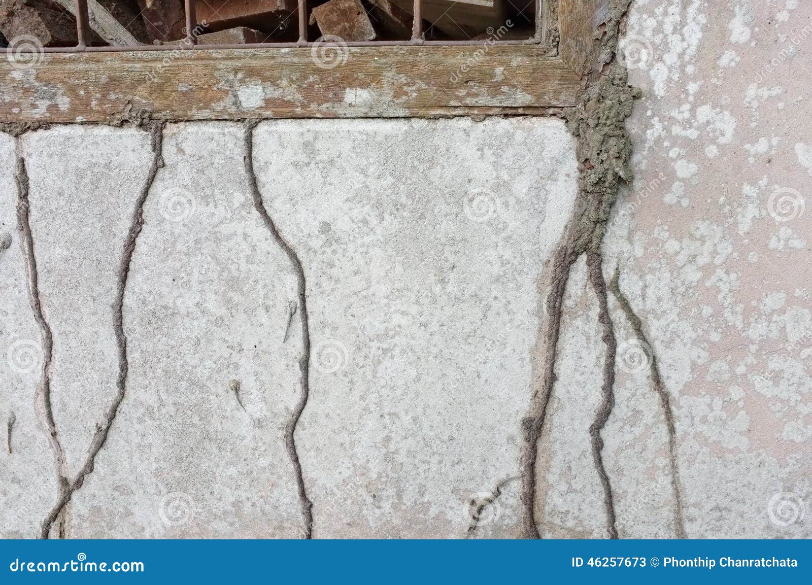 The Line Of Termite Nest On A Cement Wall Stock Photo Download Image ...