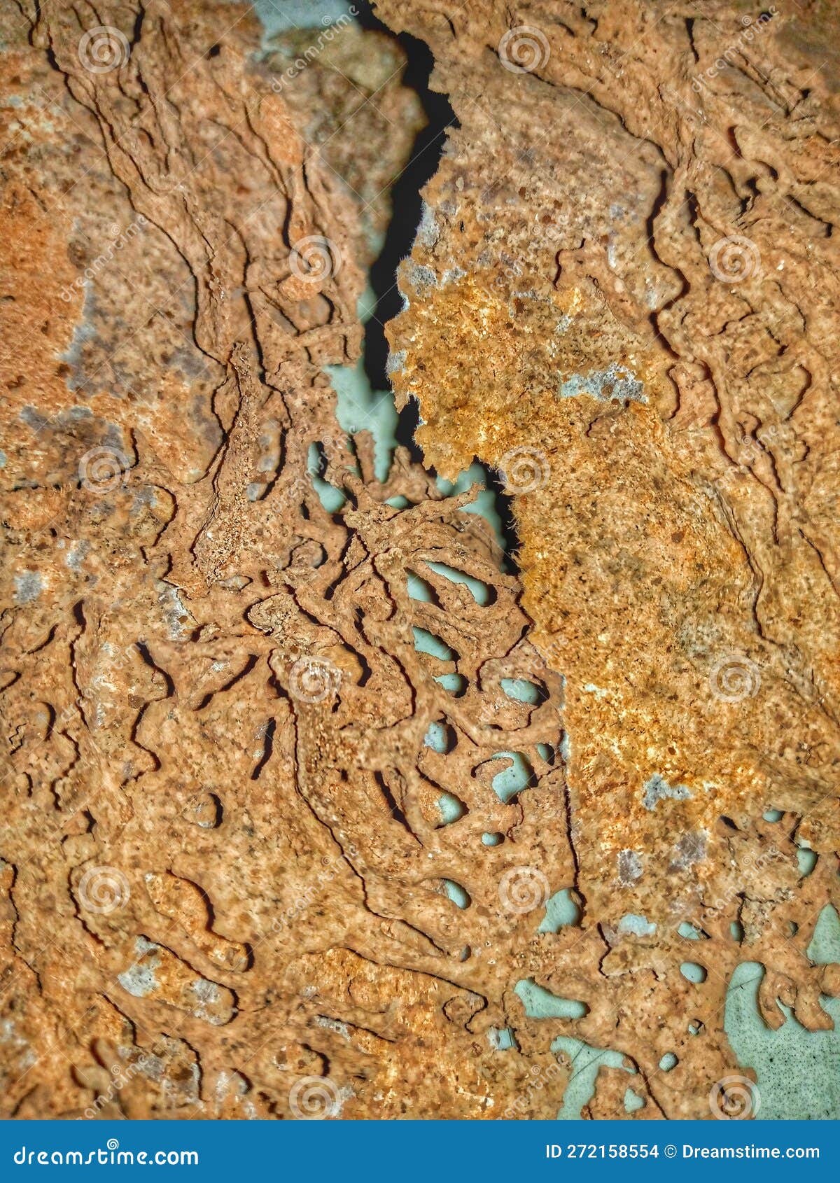 This is a termite house stock photo. Image of home, paper - 272158554