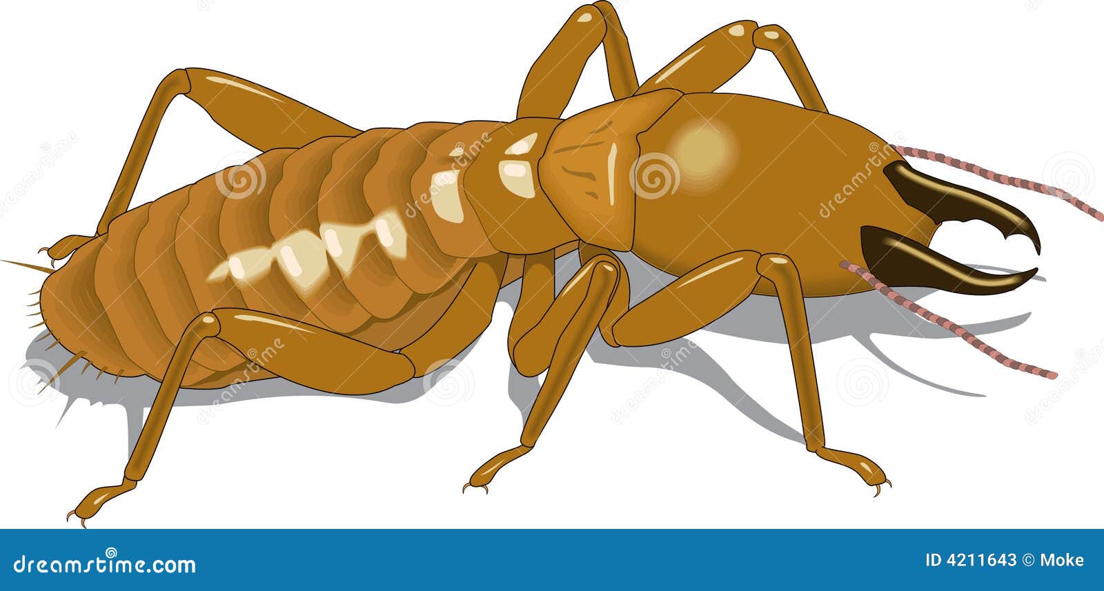 Termite illustration stock vector. Illustration of colourful - 4211643