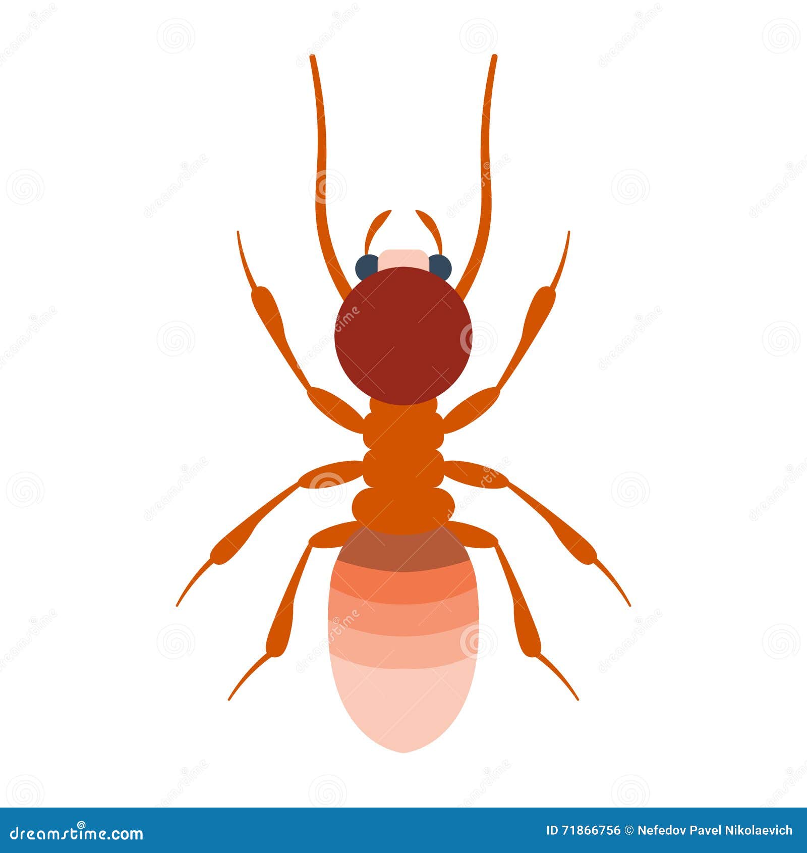 Termite illustration. stock illustration. Illustration of insect - 71866756