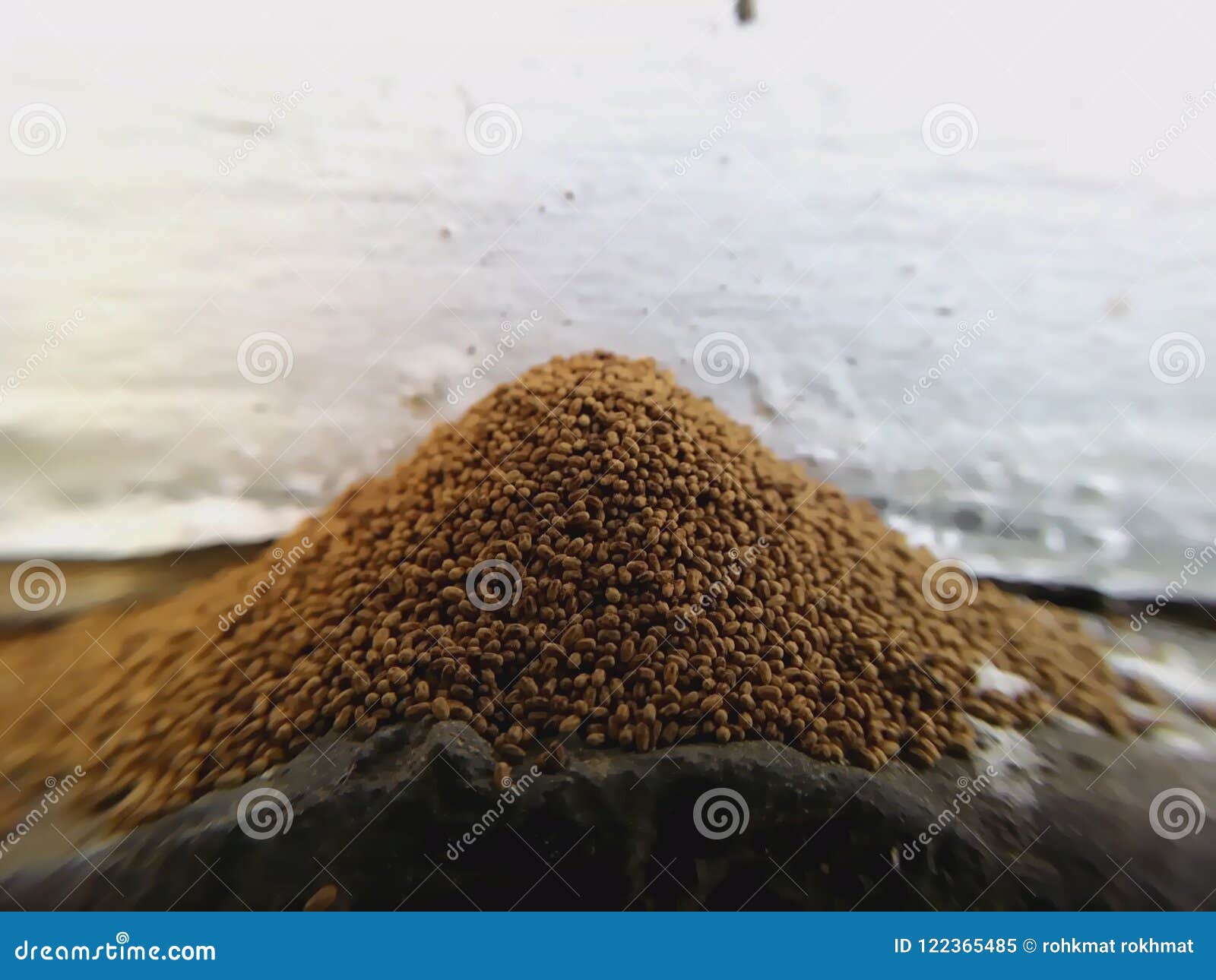 Termite impurities stock image. Image of dung, wood - 122365485