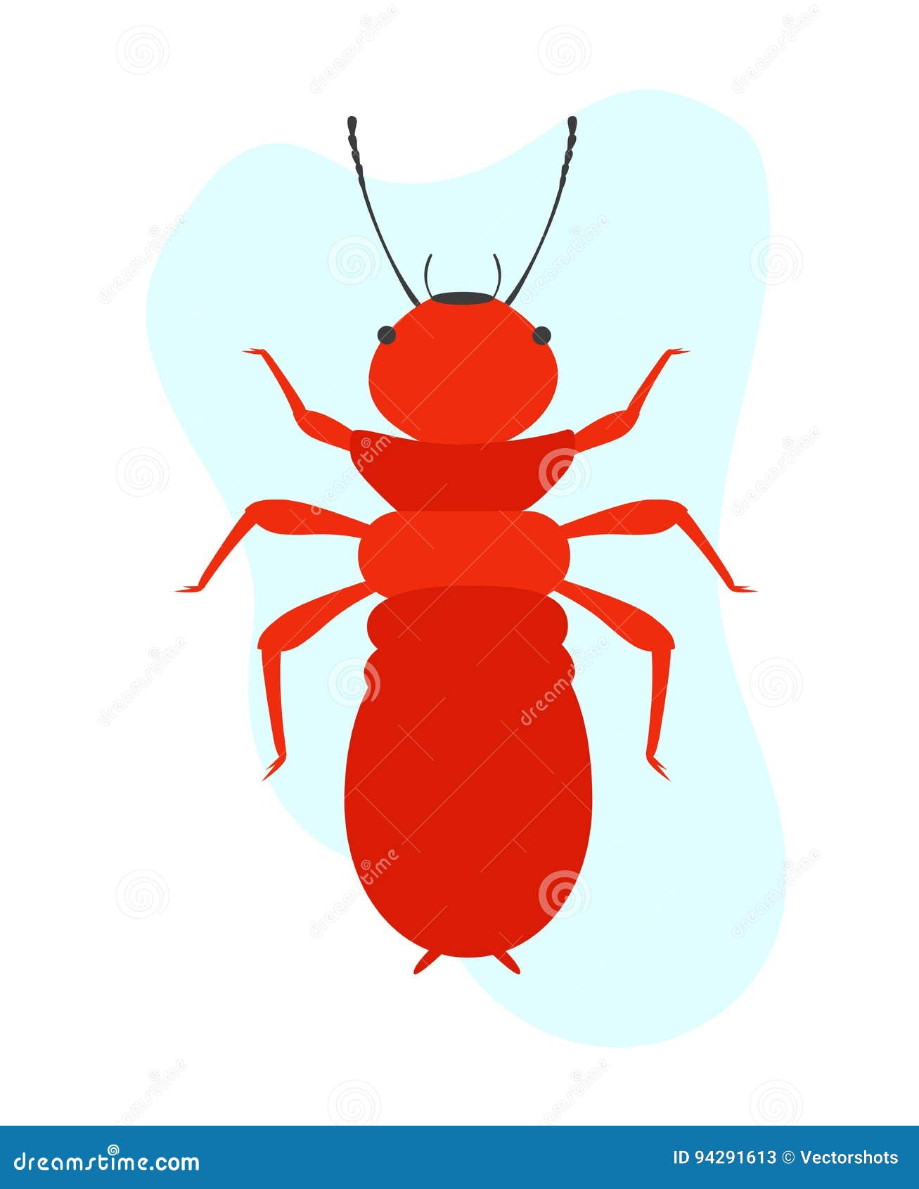 Termite Insect stock vector. Illustration of insecticide - 94291613