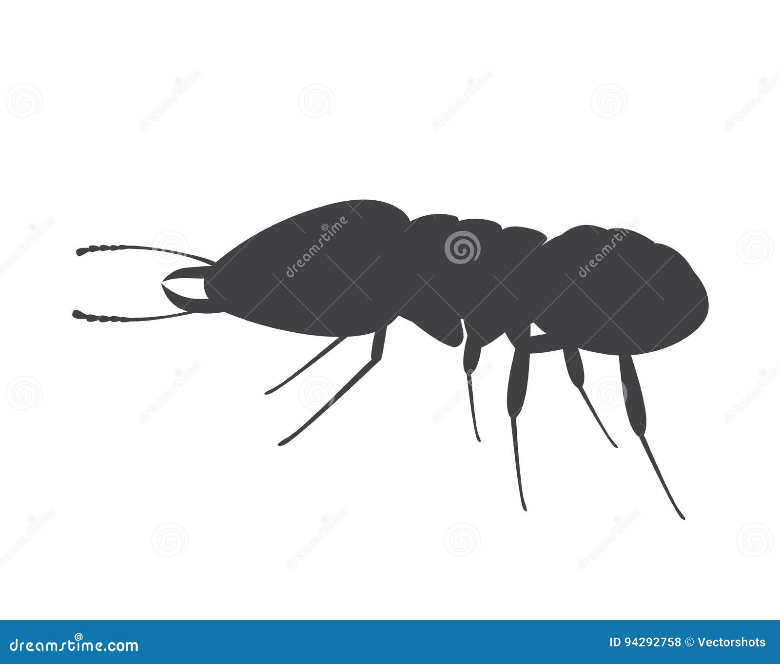 Termite,insect,nest,teeth,bite,nest,nuisance,sharp,disease,nature,wood ...