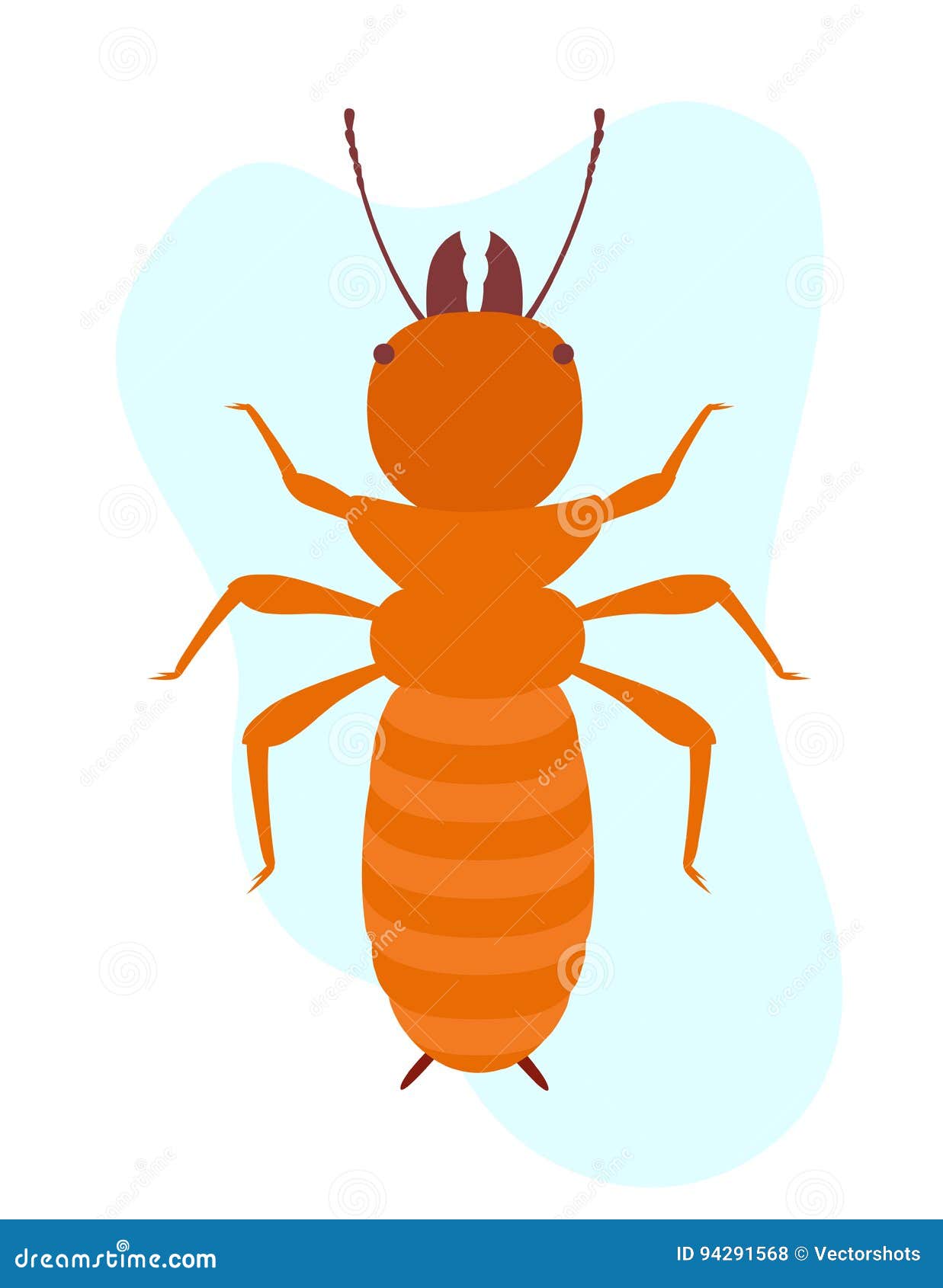 Termite,insect,nest,teeth,bite,nest,nuisance,sharp,disease,nature,wood ...