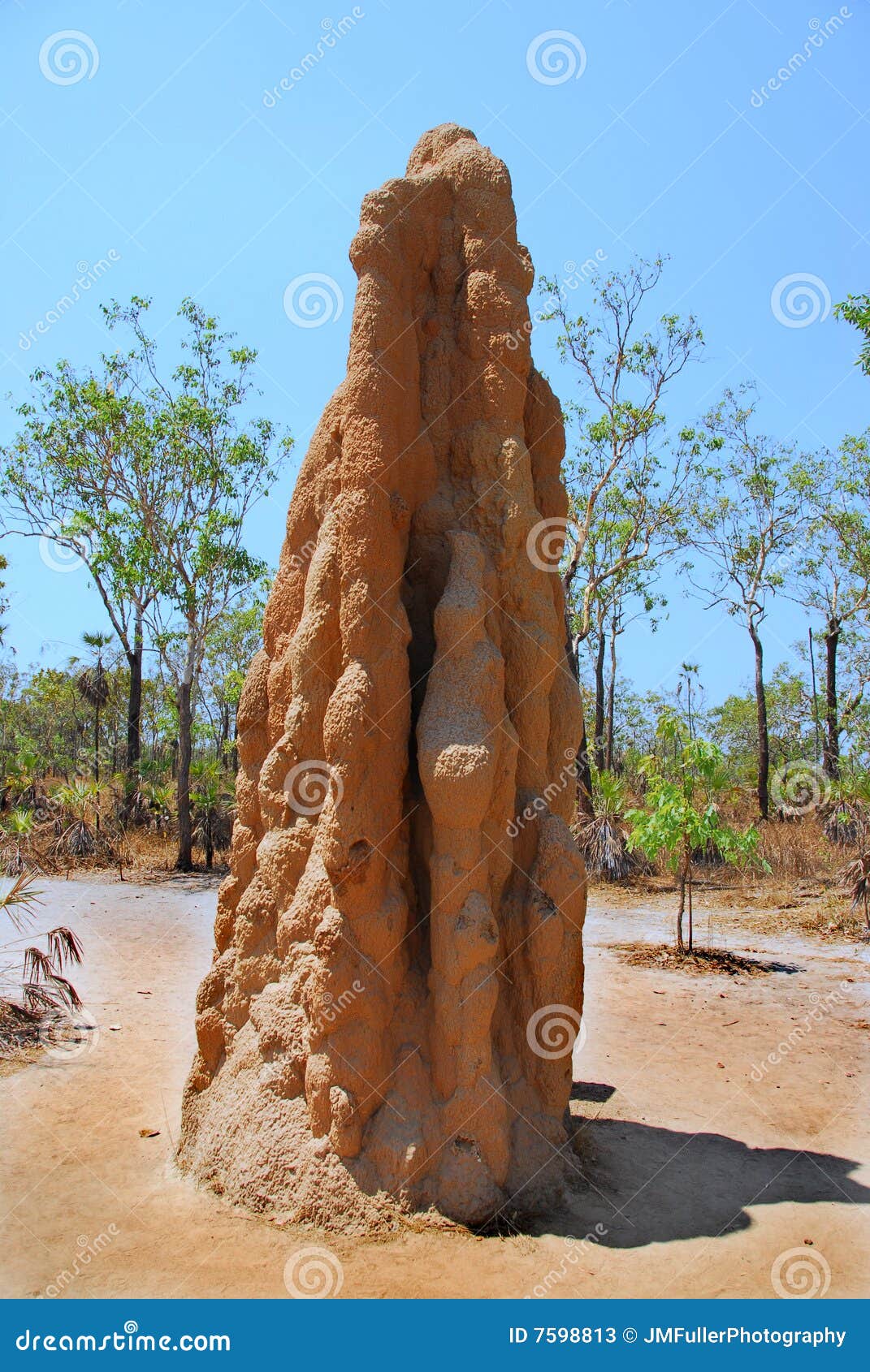 Termite Mound stock image. Image of northern, territory - 7598813