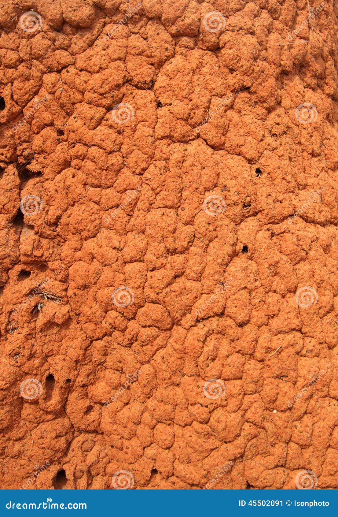 Termite mound background stock image. Image of mound - 45502091