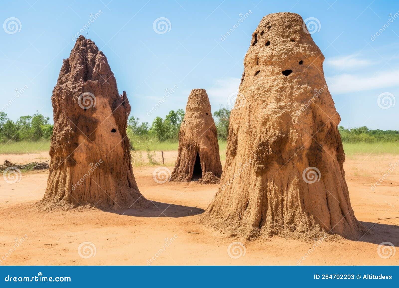 Termite Mound in Different Stages of Construction Stock Illustration ...