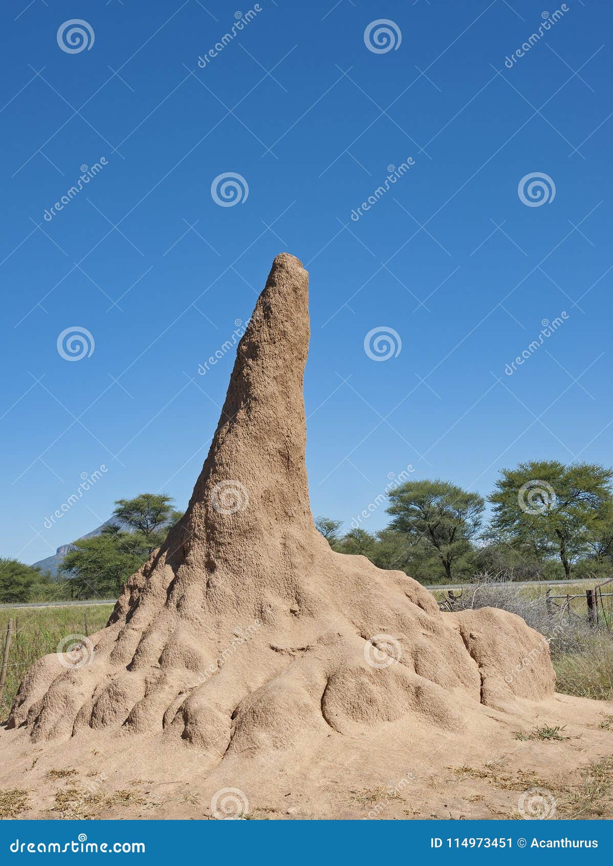 Termite Mound or Termite Hill Stock Image - Image of mound, nest: 114973451