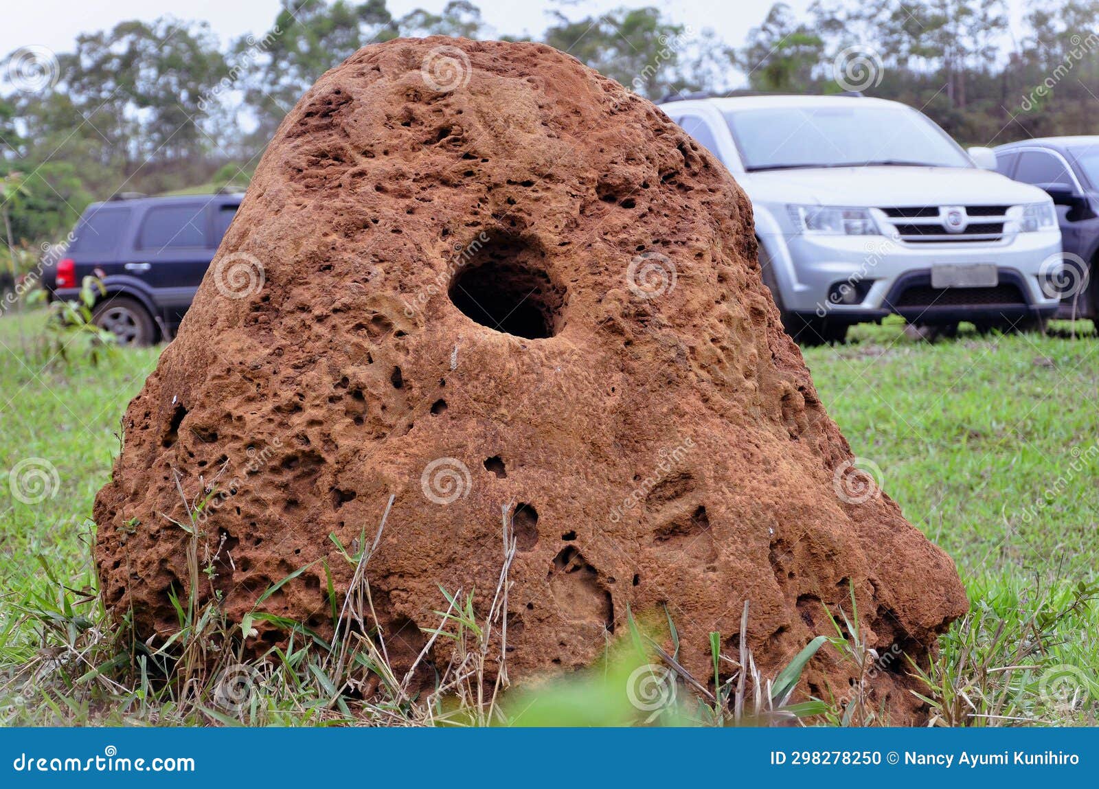 A Termite Mound in the Parking Lot in the Countryside Stock Photo ...