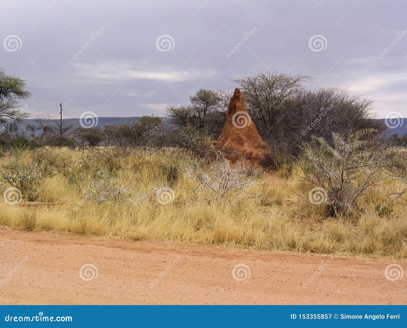 Termite Mound of Red Earth in Northern Namibia, Africa. Stock Image ...