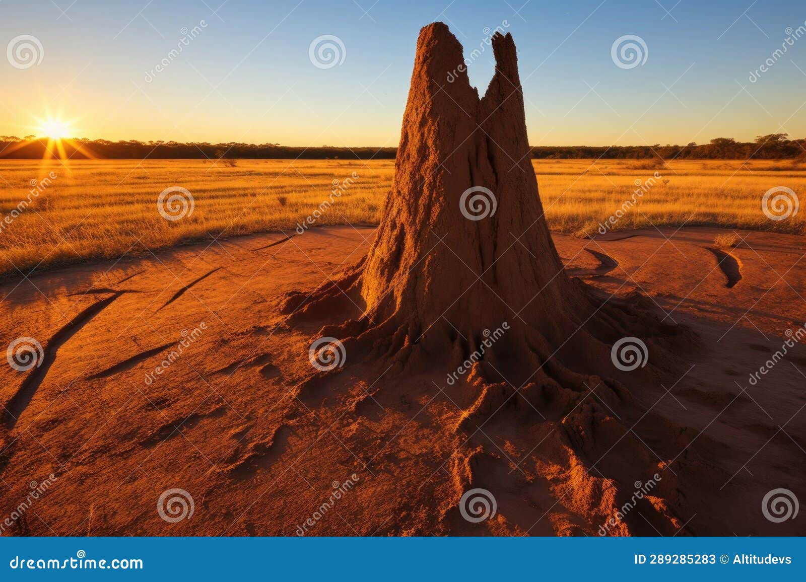 Termite Mound at Sunset Casting Long Shadows Stock Illustration ...