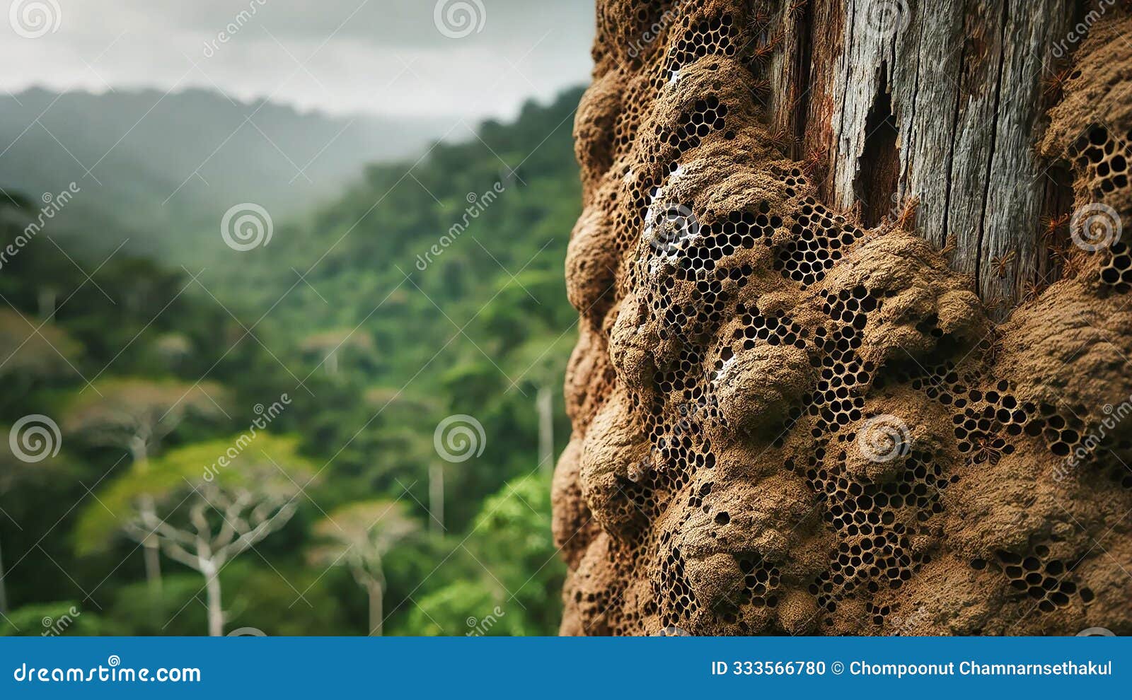 Winged Termite Silhouette Vector Illustration | CartoonDealer.com #94292780