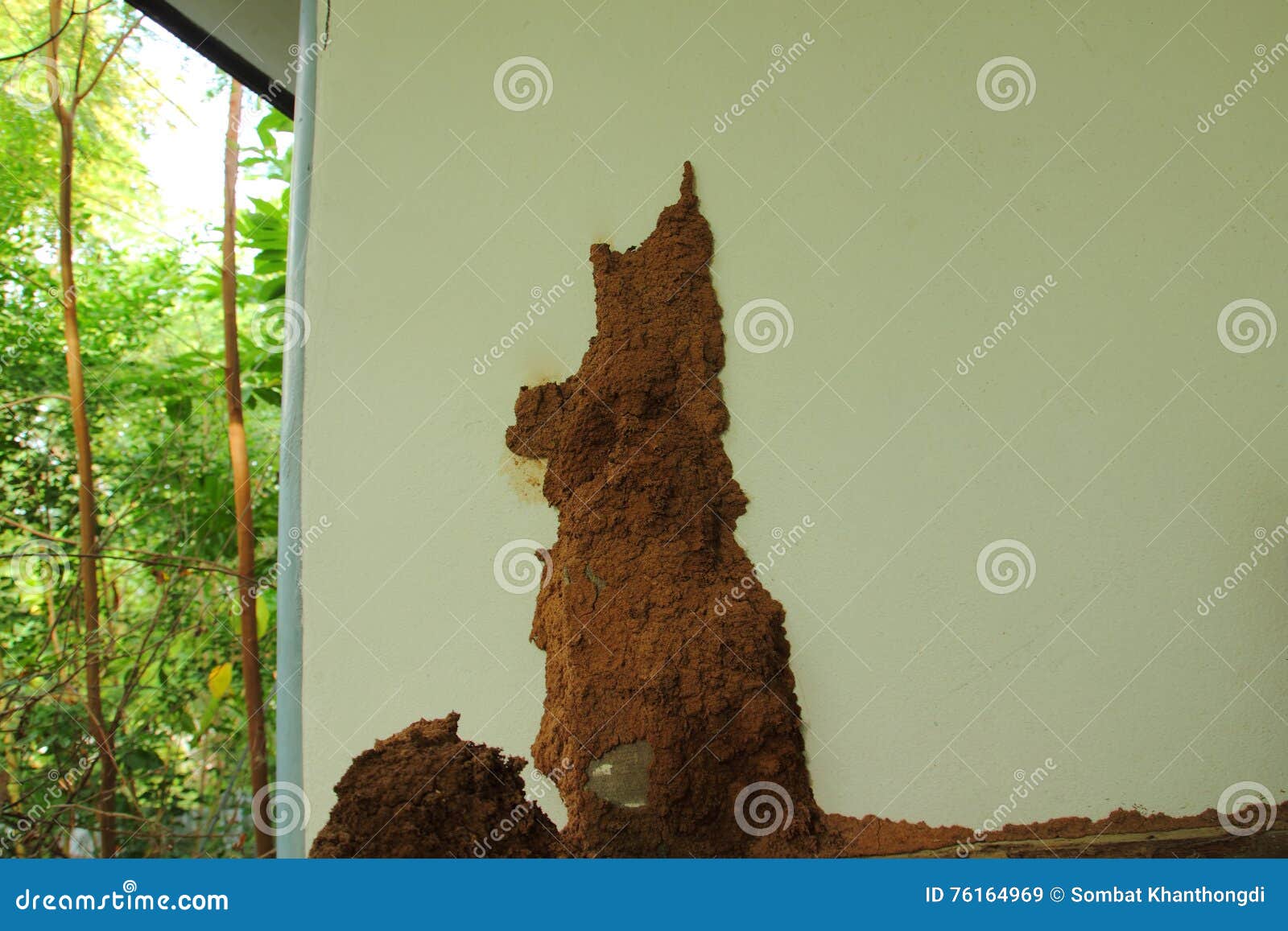 Termite mound stock image. Image of animalnest, house - 76164969