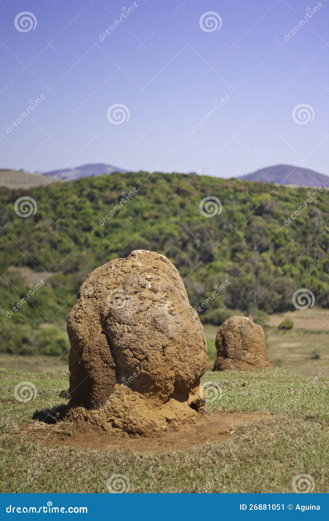 Termite mounds in a farm stock image. Image of cupim - 26881051