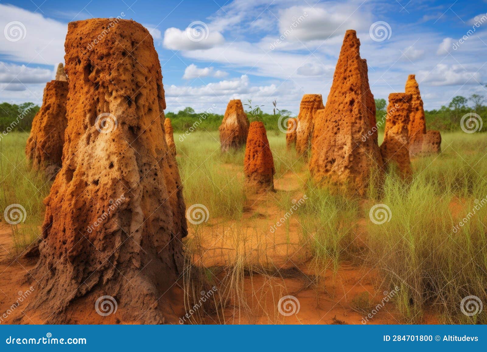 Termite Mounds with a Variety of Textures and Colors Stock Illustration ...