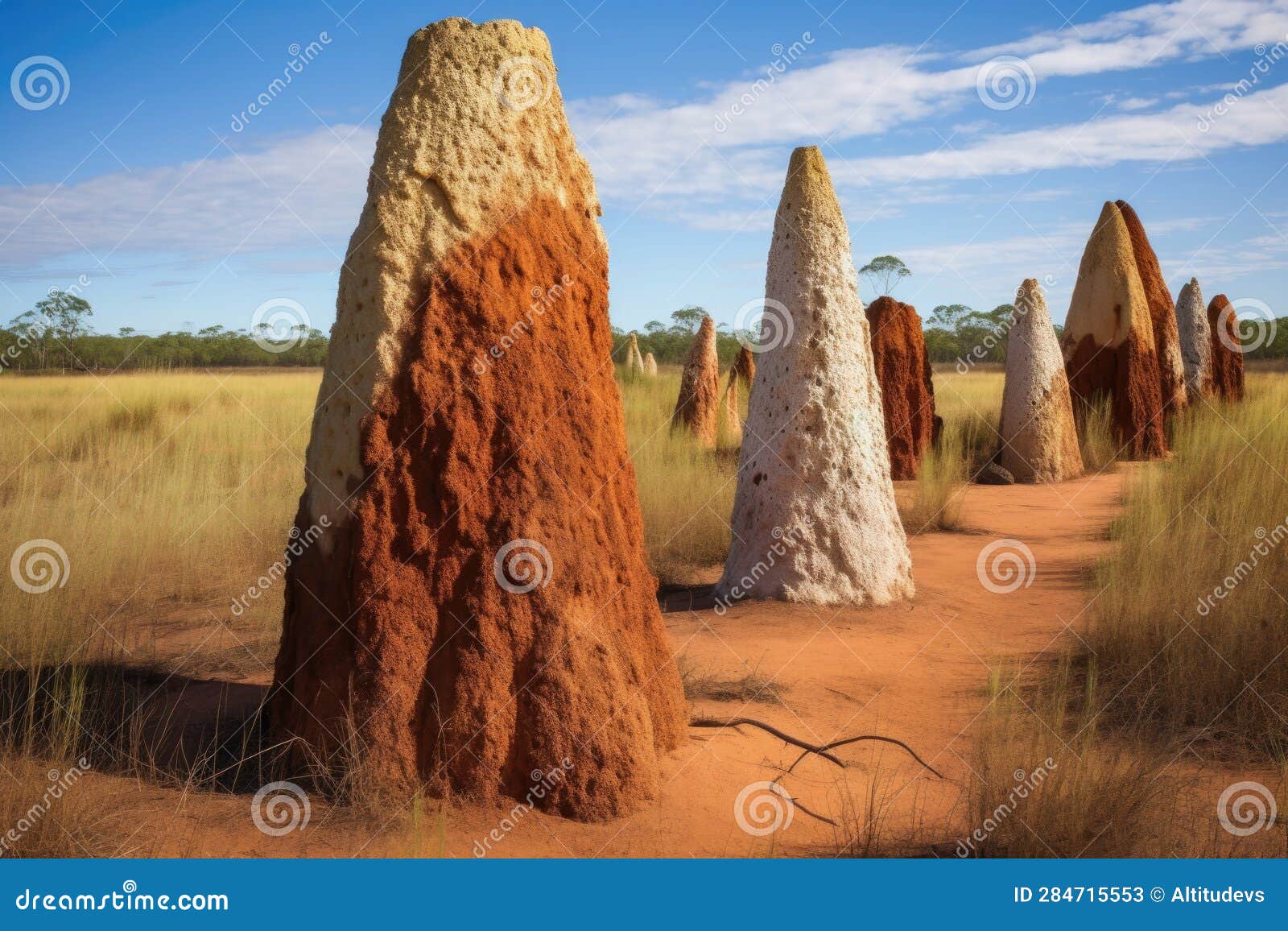 Termite Mounds with a Variety of Textures and Colors Stock Illustration ...