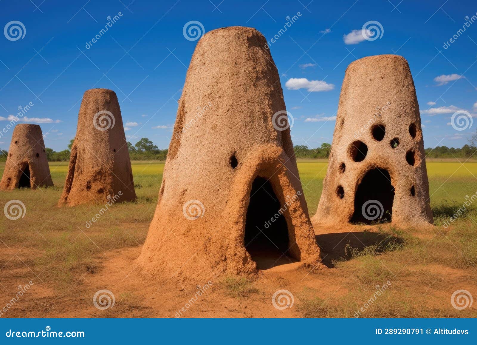 Termite Mounds Ventilation Holes in Various Shapes Stock Image - Image ...