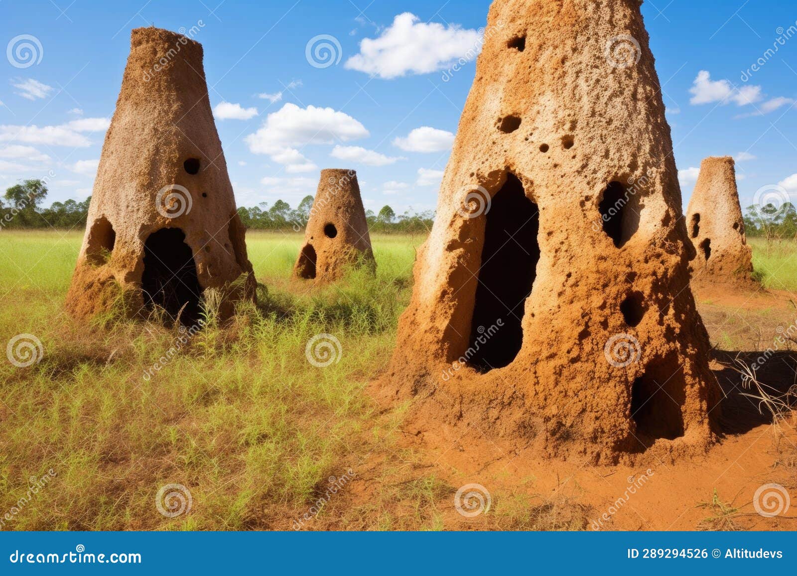 Termite Mounds Ventilation Holes In Various Shapes Stock Photography ...