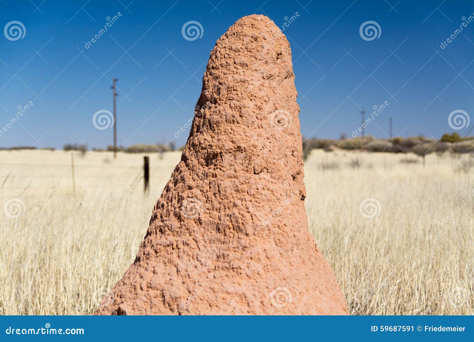 Termite mount stock image. Image of animals, safari, animal - 59687591